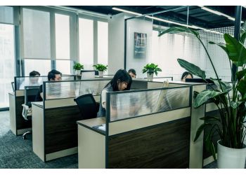 China Factory - SHAN DONG JINTAI COMMERCE CO., LTD