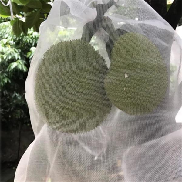 Quality Bee Proof Net Making Agricultural Netting Machine Easy Maintenance CE TUV for sale