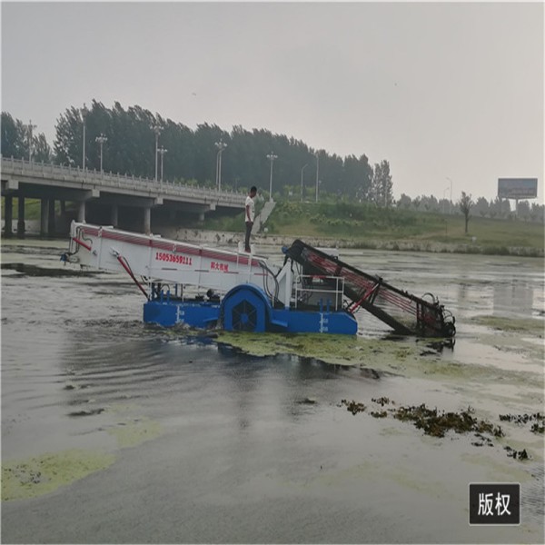 Quality Aquatic Weed Harvester for river clean color customzied reed harvester for sale