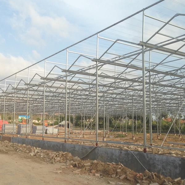 Quality Multi-Span Agricultural Greenhouses for Sustainable Fruits and Vegetables for sale