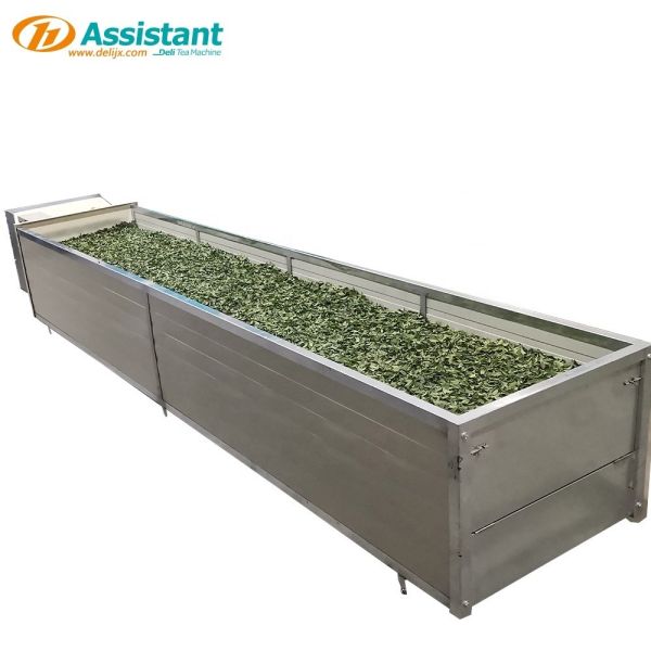 Quality Raw Material Tea Withering Machine DL-6CWD-1090 with Warm Wind and Cooling for sale