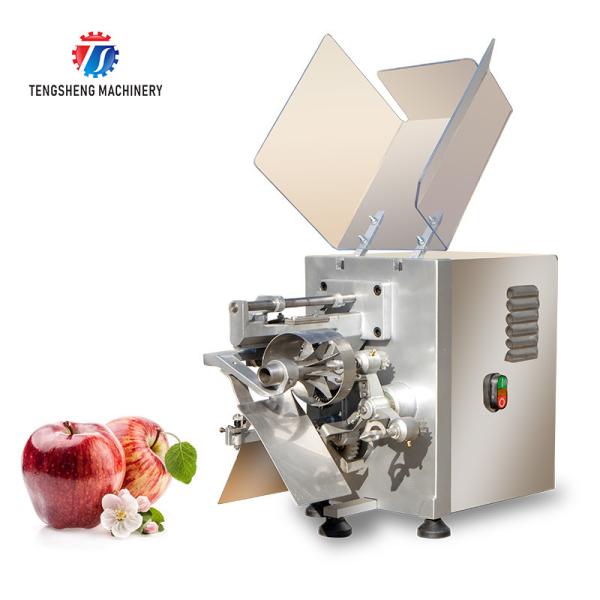 Quality 220V Custom Commercial Fruit Peeler , Electric Apple Peeler And Corer Machine Tengsheng for sale