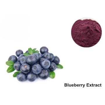 Quality Organic Blueberry Extract Powder For Eyes for sale