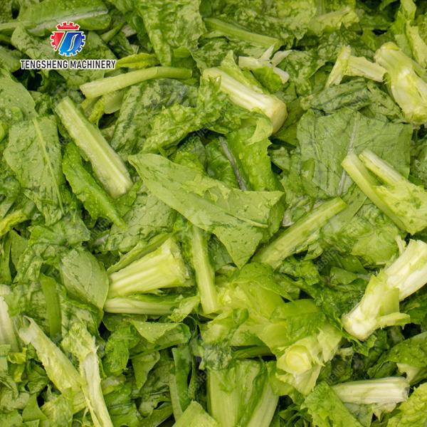 Quality Bubble washing vibration air drying production line Orange Vegetable Herbs Fruit for sale