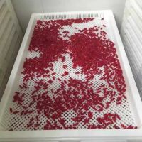 Quality Softgel Capsules Large Plastic Trays High Temperature Bearing Various Color for sale