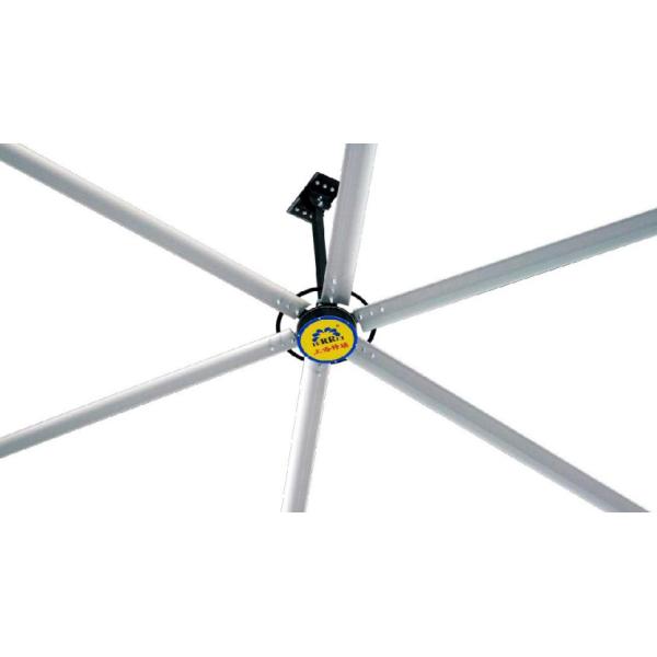 Quality Terrui Industrial Ceiling Fan Optimal Air Circulation For Comfortable Environmen for sale