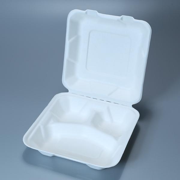 Quality 8in 9in Biodegradable Sugarcane Bagasse Clamshell Freezable Fast Food Container for sale
