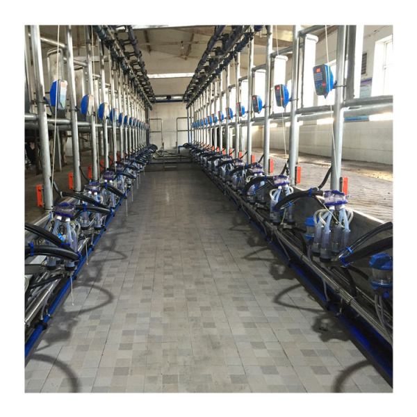 Quality High Efficiency 4KW Herringbone Milking Parlor Cow Milk Suction Machine for sale