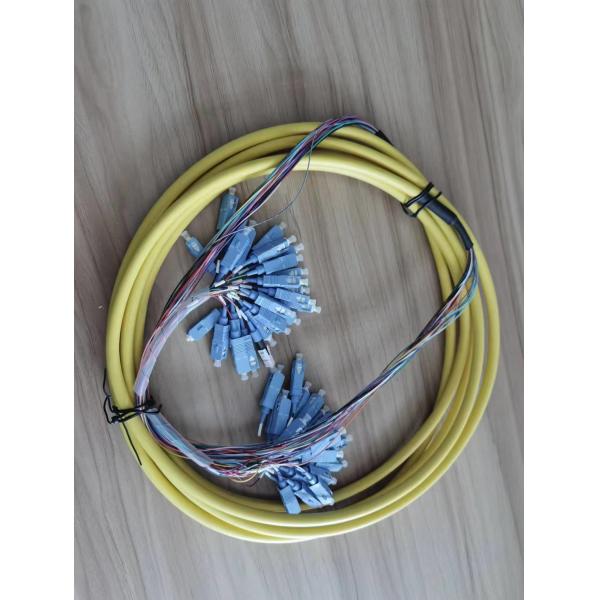 Quality 24 Core SC/UPC Pre-Terminated Patch Cord with Maximum Install Tray Number 1 for sale