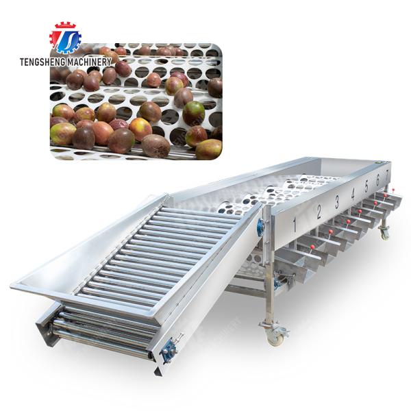 Quality Processing Production Inspecting Grading Fruit Vegetable Onions Saiko persimmon for sale