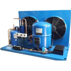 Quality France Maneurop Hermetic Air-Cooled Refrigertion Unit,Customized Air-Cooled for sale