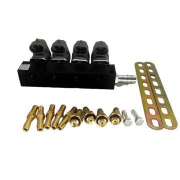 Quality 2 Ohm 3 Ohm Resistance Black LN-LIG1S LPG CNG Injector Rail For Autogas for sale