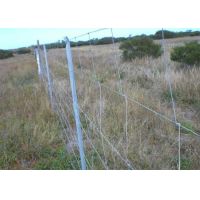 Quality Galvanized Wire Woven 0.8m High 150mm Mesh Sheep Livestock Panels for sale
