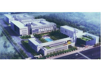 China Factory - Hunan xin Congchu Food Co., Ltd.