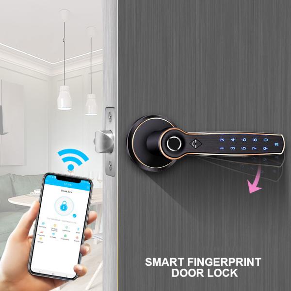 Quality TTlock Fingerprint Bluetooth Smart Lock Keyless Zinc Alloy Handle for sale