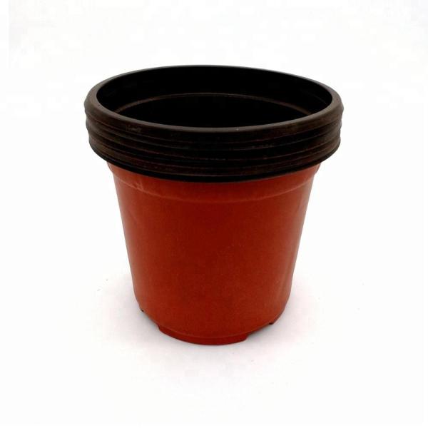 Quality PP Sun 15cm Width Plastic Flower Pots 12 Drainage Holes for sale
