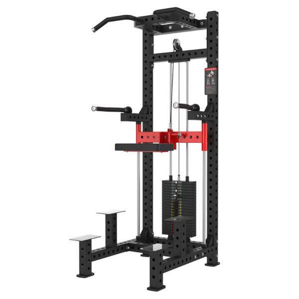 Quality Single And Parallel Bars Trainer For Dumbbell Shoulder Push Pull Upward Leg Insertion for sale