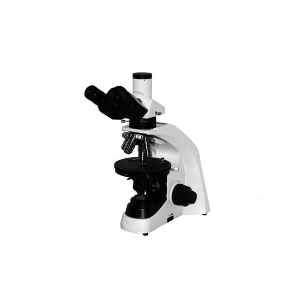 Quality Trinocular Educational Microscope Kit WF10X/20mm Student Microscope With for sale