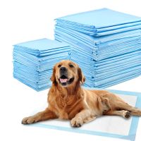 Quality Super Absorbent Pet Training Pads with Wetness Indicator for sale