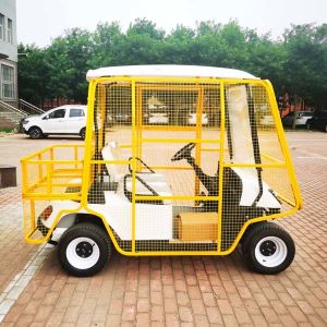 Quality CAll Terrain Mini 2 Seater Golf Cart 2 Seats Customized for sale