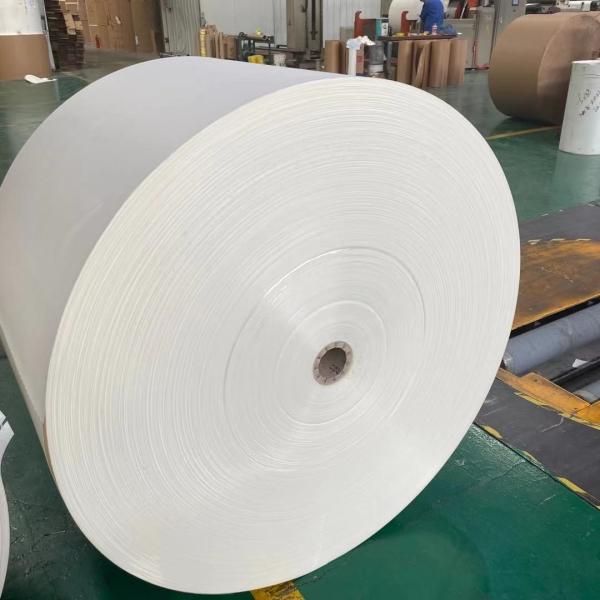 Quality Dia 1200mm Cup Stock Paper Raw Material Required For Paper Cup Manufacturing for sale
