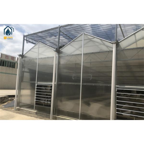 Quality Steel Frame Polycarbonate Sheet Greenhouses Indoor Organic Growers Greenhouse for sale