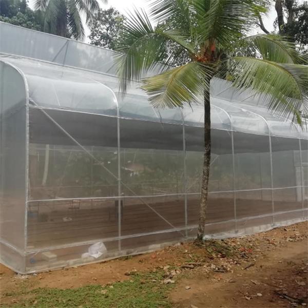 Quality Tropical Arches Agricultural Growing Polyethylene Film Greenhouse for sale
