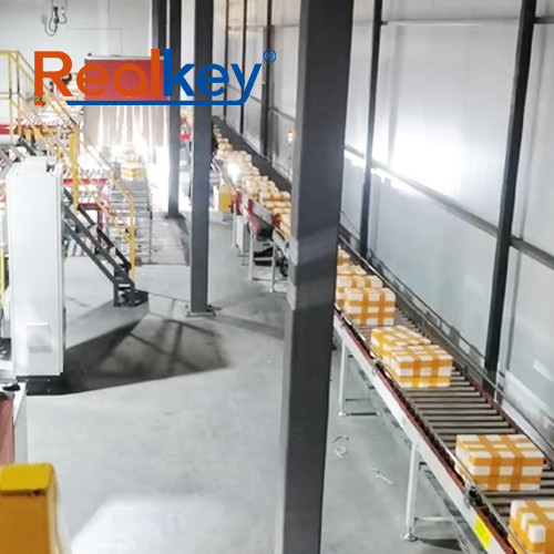 Quality High Efficiency Automated Warehouse Conveyor Systems Versatile For Manufacturing for sale