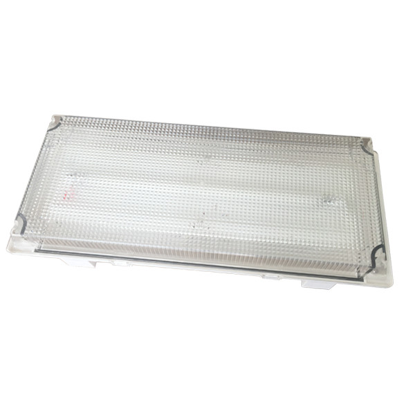 Quality Battery Operated Waterproof Emergency Light IP65 Weatherproof Model EF108DN for sale