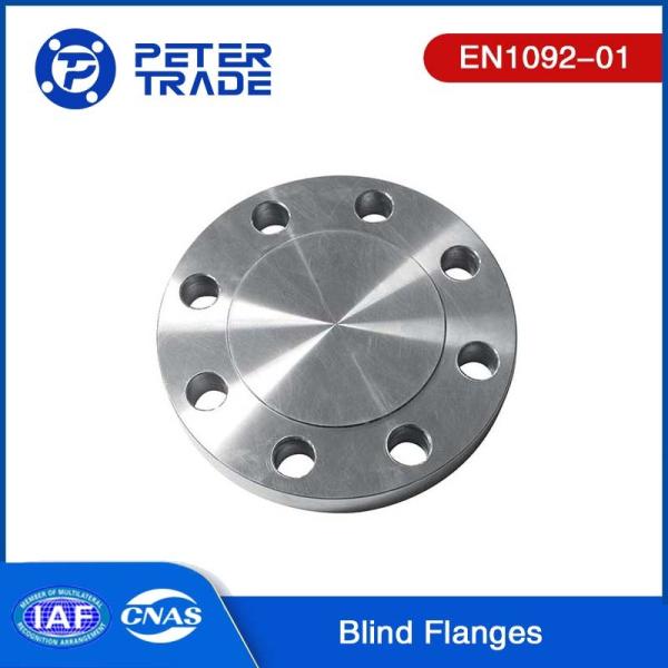Quality EN1092-01 Carbon Steel Blind Flange TYPE 05 Raised Face/Flat Face PN100 BLFF for sale
