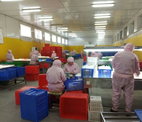 China Factory - Qingdao  Opal Industrial Co.,Ltd