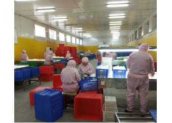 China Factory - Qingdao  Opal Industrial Co.,Ltd