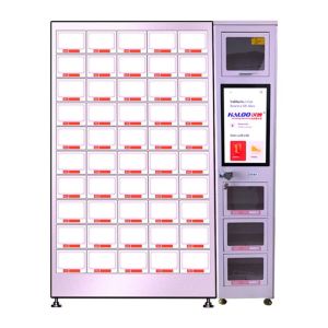 Quality Automatic Locker Vending Machine With 50 Lockers Souvenir Vending Machine Gift for sale