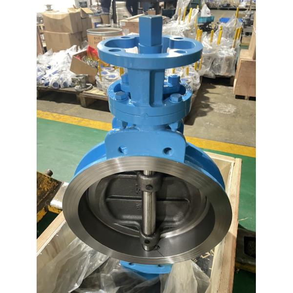 Quality Double-Eccentric Sealing ANSI Flanged Butterfly Valve for Industrial Application for sale