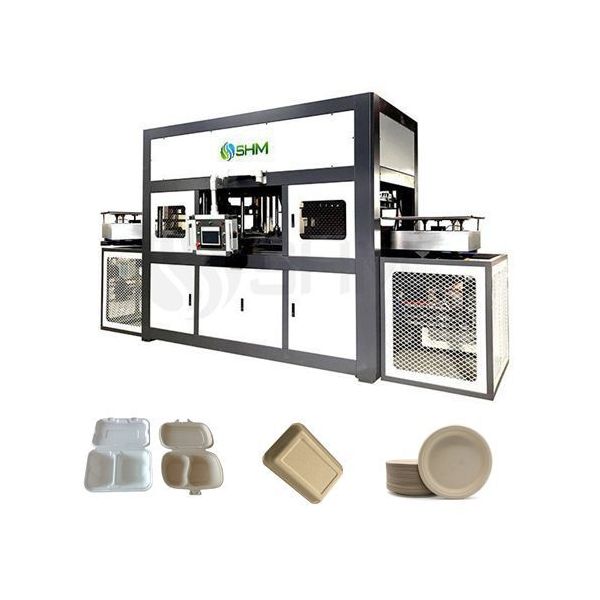 Quality Fully Automatic Pulp Molding Tableware Machine Paper Tray Machine Production Line for sale