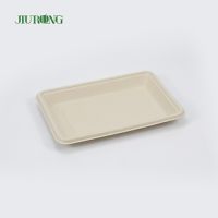 Quality PLA Biodegradable Bagasse Tableware Dish Fast Food Serving Tray for sale