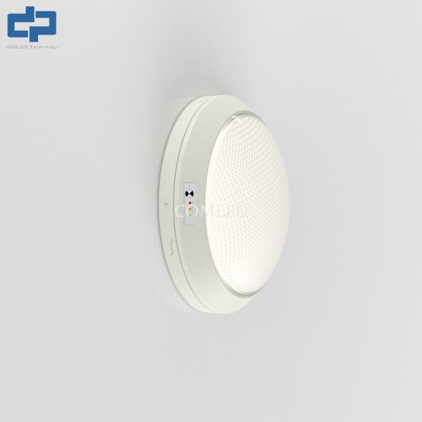 Quality 30W LED Round Ceiling Light IP65 Waterproof Modern Ceiling Lamp With Sensor for sale