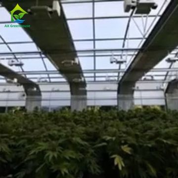 Quality Multispan 28m-50m Length Light Deprivation Greenhouse With Blackout System for sale