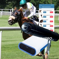 Quality 21Hz ESWT Therapeutic Equine Shockwave Therapy Machine for sale