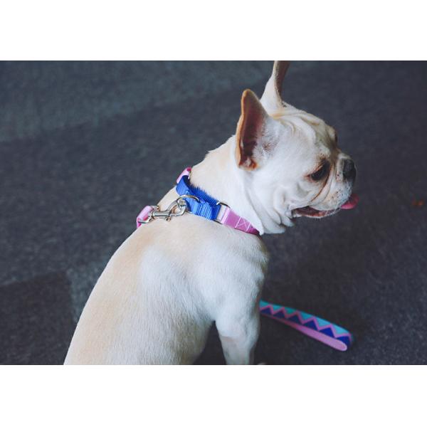 Quality Pink Orange Nylon Rope Dog Collar With Buckle Adjustable Buffered for sale