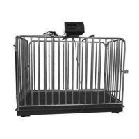 Quality 220V AC 9V DC Livestock Weighing Scales 500KG Capacity Electronic Easy Operation for sale