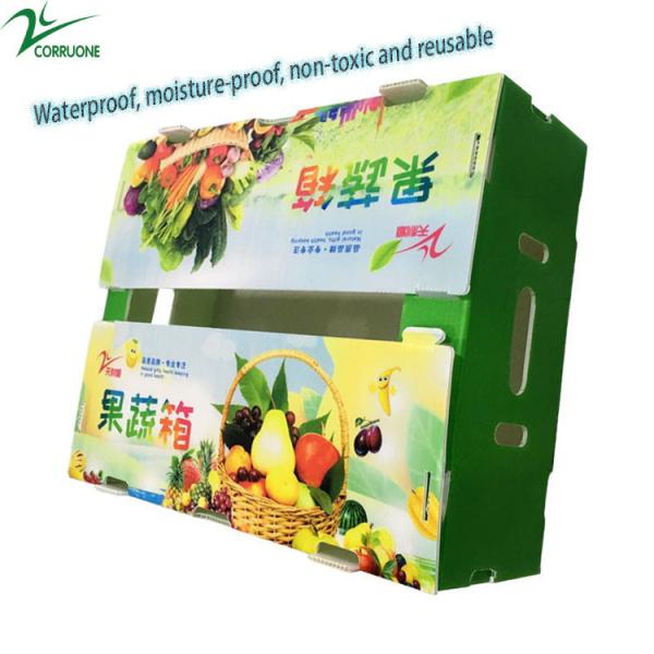Quality PP/PE plastic box for Fruits and vegetables for sale