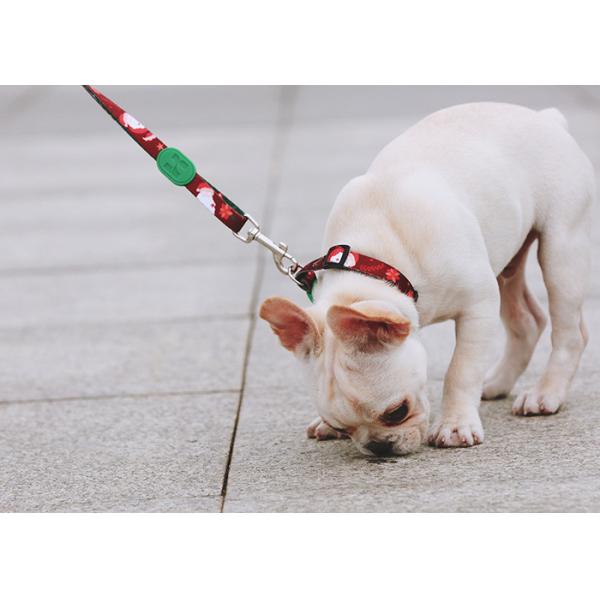 Quality Sublimation Christmas Santa Claus Dog Collar And Leash Set Puppy Training Collar for sale