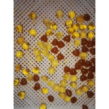 Quality 6 and 7 inch Softgel Encapsulation Making Machine With Servo Motor 50000 - 70000 for sale