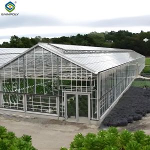 Quality Tropical Multispan Agriculture Greenhouses Industrial Victorian Greenhouse for sale
