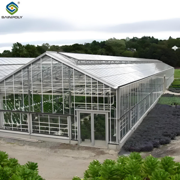 Quality Tropical Multispan Agriculture Greenhouses Industrial Victorian Greenhouse for sale