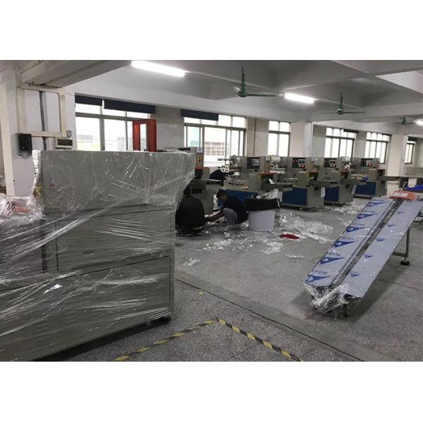 Quality Horizontal Stainless Steel Frozen Food Packing Machine for sale