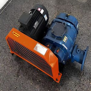 Quality Pneumatic Conveying Blower for sale