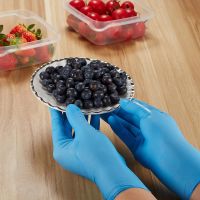 Quality Disposable Blue Food Prep Nitrile And Latex Gloves for sale