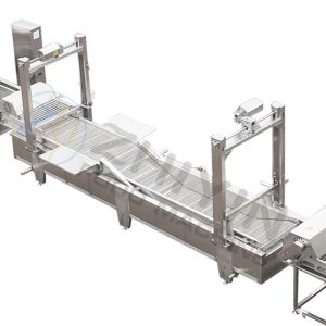Quality Diesel Heating French Fries Production Line Fresh Frozen French Fries Machine for sale